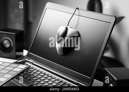 Monitor calibration by using external calibrator to ensure color is ...