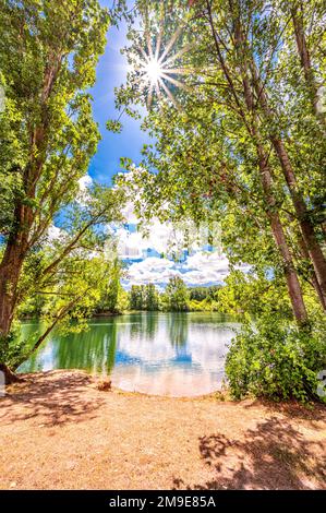 Sun star on a deciduous tree at the gravel pond in summer in Lohnde ...