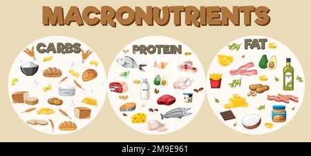 Macronutrients diagram with food ingredients illustration Stock Vector ...