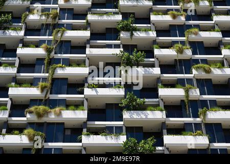 High-rise plant facade Stock Photo - Alamy