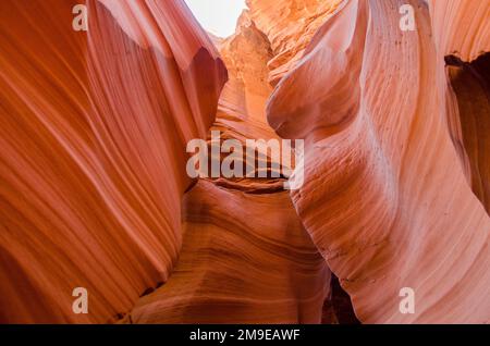A closeup shot of a red cave illuminated by bright sunlight Stock Photo ...