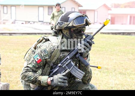 Belize Defense Force, Meixcan Marines, and US Marines conduct ...