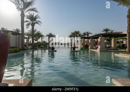 The vast infinity pool with palm trees and cabanas at the Al Wathba ...