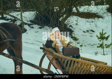 Man veterinarian in a coat sits in a sleigh cart. Harnessed horse in ...