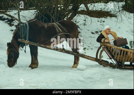 Man veterinarian in a coat sits in a sleigh cart. Harnessed horse in ...