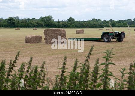 Taplow, Buckinghamshire, UK. 25th June, 2022. Straw bales in a field ...