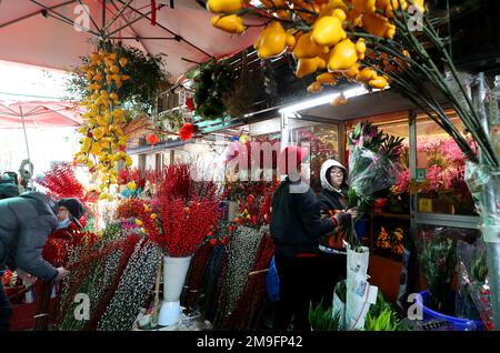 Shanghai. 18th Jan, 2023. People shop for the Spring Festival at a food ...