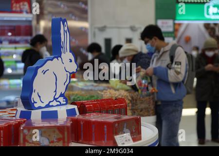 Shanghai. 18th Jan, 2023. People shop for the Spring Festival at a food ...
