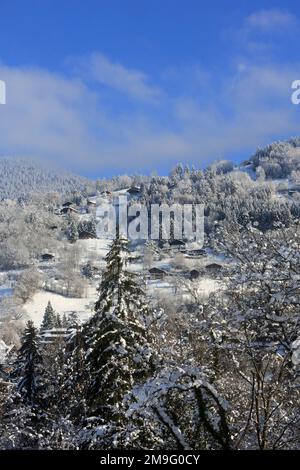 Forest. Black Head. Saint-Gervais-les-Bains. Haute-Savoie. Auvergne ...