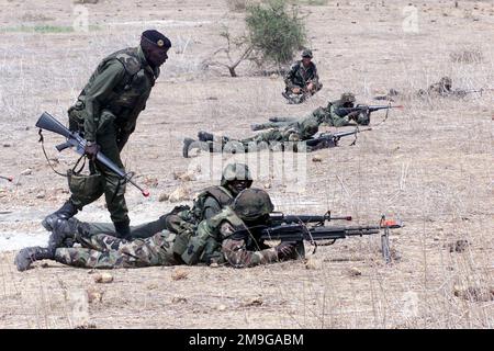 Soldiers of the 1ST Infantry Battalion Senegal Army reload ammunition ...