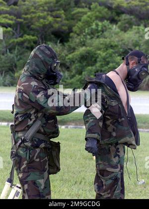 Marines of the 3D Reconnisiance Battalion, 3D Marine Division, perform ...