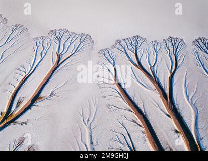 Aerial view of Colorado river delta, El Golfo Biosphere Reserve, Baja ...