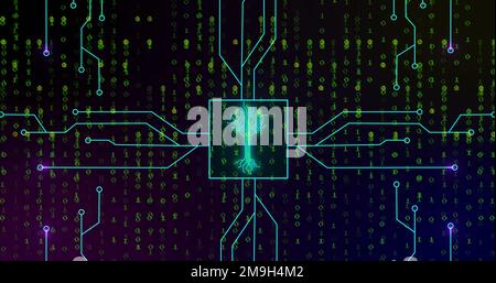 Composition of digital tree and light trails over binary coding on black background Stock Photo ...