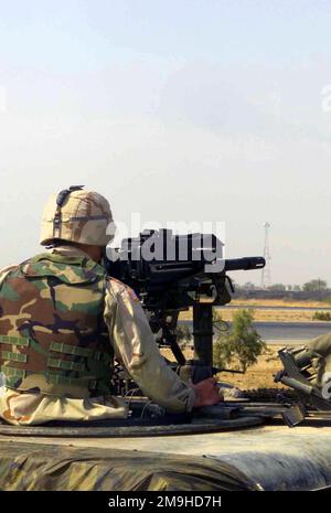 Sergeant (SGT) Dorian L Majano from 1ST BN (Battalion), 187 Infantry ...