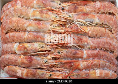 Frozen shrimp in fridge at the fish market. Healthy eating and fish ...