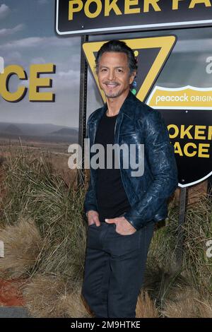 LOS ANGELES - JAN 17: Benjamin Bratt at Poker Face Series Premiere at ...