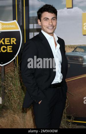 LOS ANGELES - JAN 17: Nicholas Cirillo at Poker Face Series Premiere at ...