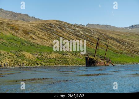 The Bayard, a three masted iron hulled sailing ship, wrecked in 1911 ...