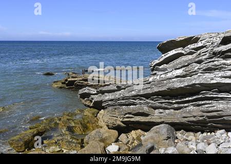 Flysch is a typical geological element of the Côte Basque, the coast of ...