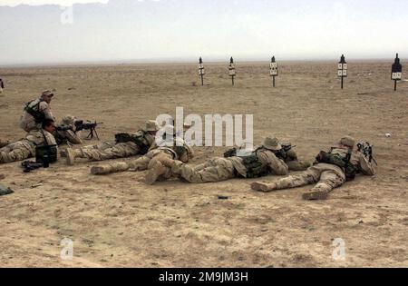 Airborne Division's Long Range Surveillance Detachment, fires a 5.56mm ...