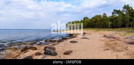 Beach and forest, Paldiski, Pakri Peninsula, Baltic Sea, Estonia Stock ...