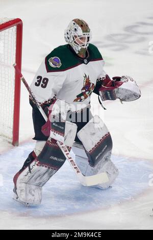 Arizona Coyotes goaltender Connor Ingram (39) catches the puck in front ...