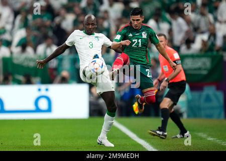 Abdullah Madu during the FIFA World Cup Qatar 2022 Group A match ...