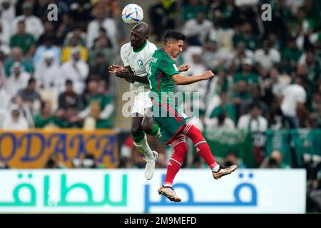 Abdullah Madu during the FIFA World Cup Qatar 2022 Group A match ...