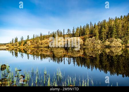 Lough Achork in early spring, Lough Navar Forest in Enniskillen, United ...