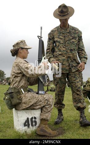 Parris Island, South Carolina: Female marine recruits rapell over the ...