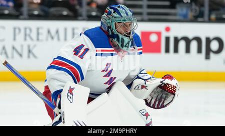 New York Rangers goaltender Jaroslav Halak (41) stands in goal during ...