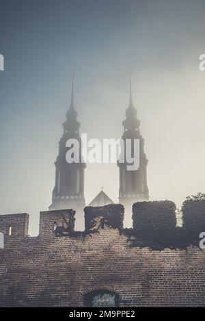 Cathedral of Holy Cross in Opole. Poland Stock Photo - Alamy