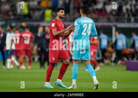 Iran goalkeeper Hossein Hosseini during the FIFA World Cup Group B ...