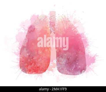 Vector watercolor illustration of human lungs with green splashes ...