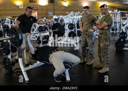 U.S. Marines, veterans, and family members of 3rd Battalion, 5th Marine ...