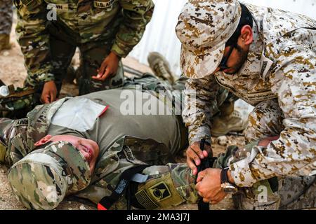 Royal Saudi Land Force service members apply an arm splint to a U.S ...