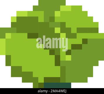 Pixel cabbage vegetable, product and greenery Stock Vector Image & Art ...