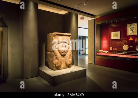 The interior of the Chau Chak Wing Museum at the University of Sydney ...