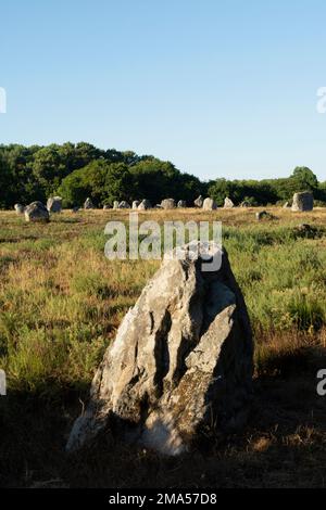 Carnac stones (megalithic sites). Kerlescan alignments. Commune of ...