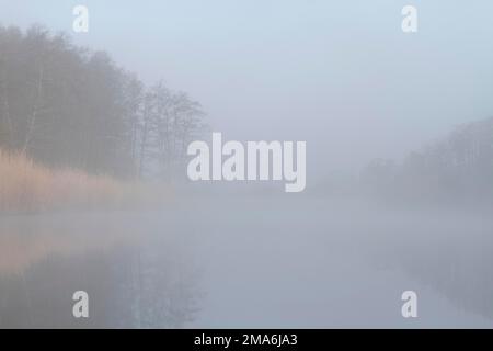 Morning mist over the river Peene, Peene Valley River Landscape nature ...