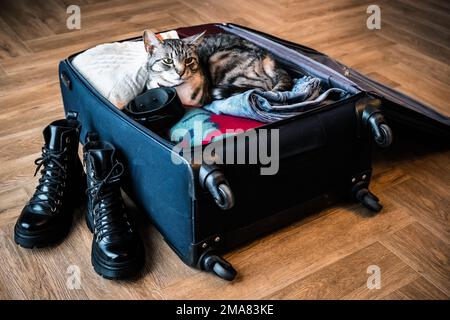 Assembled open suitcase top view. Preparing for vacation or business ...