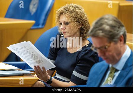 THE HAGUE - Inge van Dijk (CDA) during the swearing-in ceremony as a ...