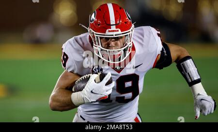 Georgia tight end Brock Bowers (19) outruns Georgia Tech defensive back ...