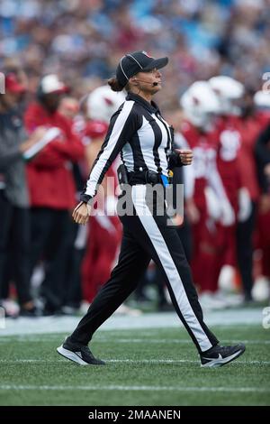 Down judge Robin DeLorenzo (134) during an NFL football game between ...