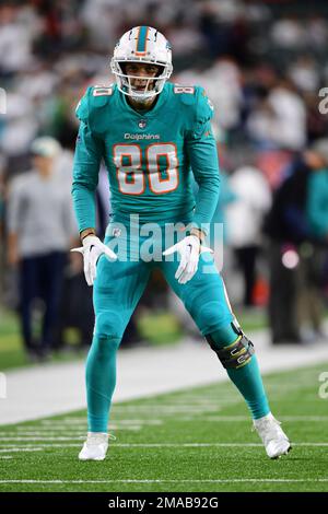 Miami Dolphins tight end Tanner Conner (80) walks to the line during a ...