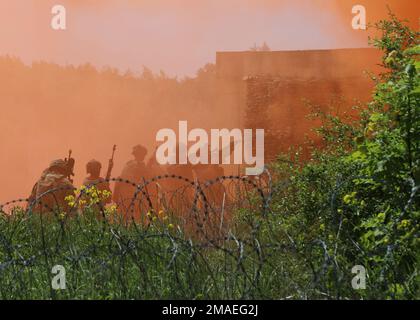 LEST, Slovakia - Soldiers from Apache Troop, 1st Squadron, 2nd Cavalry ...