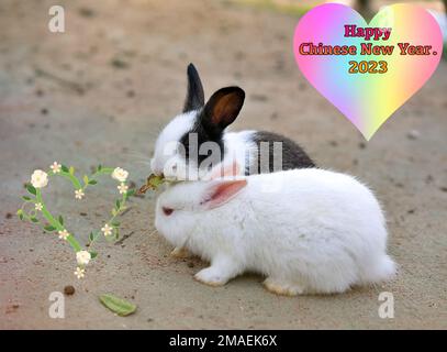 Beautiful greeting card for Happy Chinese New Year on light background ...