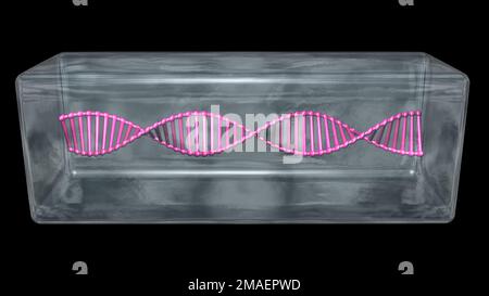 DNA preserved in ice. DNA molecule strand in transparent glass, ice ...