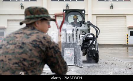 Members of the Naval Mobile Construction Battalion-10 (Seabees) and ...
