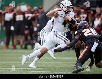 Montana State quarterback Tommy Mellott walks to the huddle during the ...